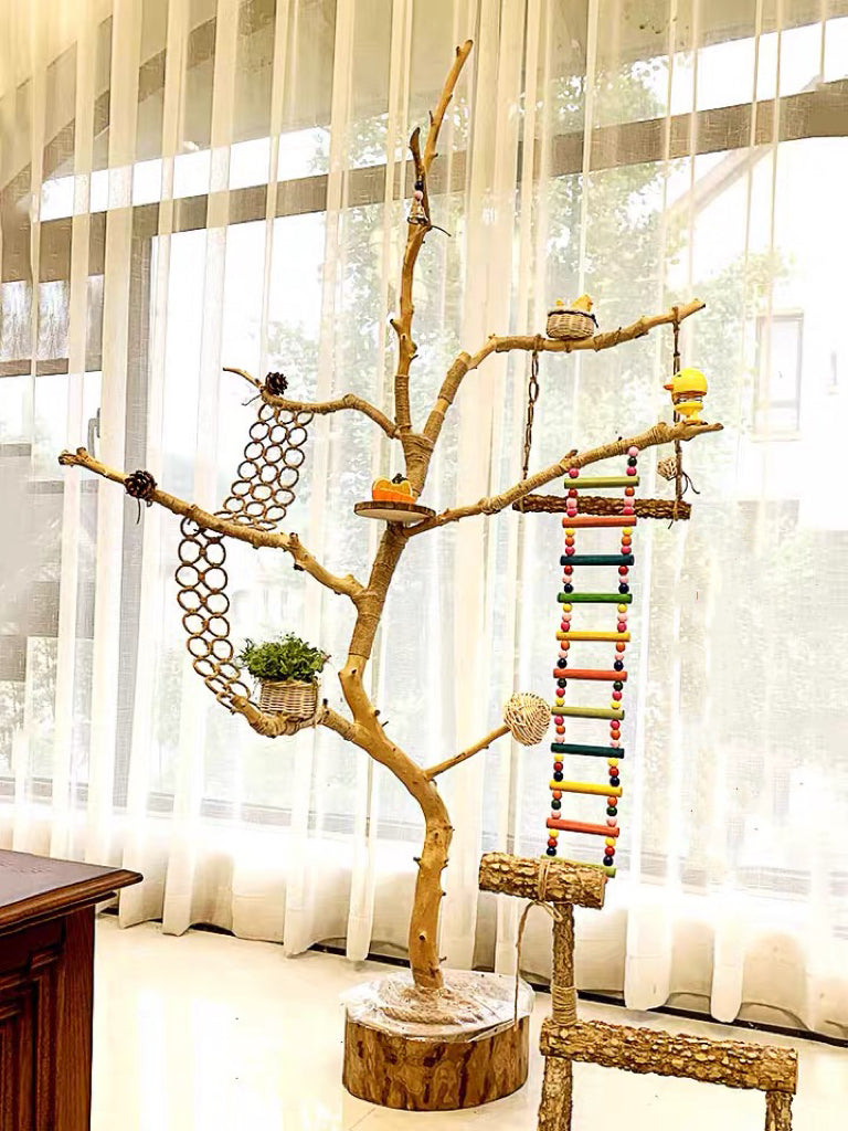 Custom Order 70-180cm Parrot Tree Stand Natural Tree Branch Organic Wo ...